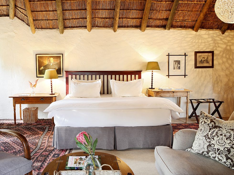 SLEEPING | Elephant House