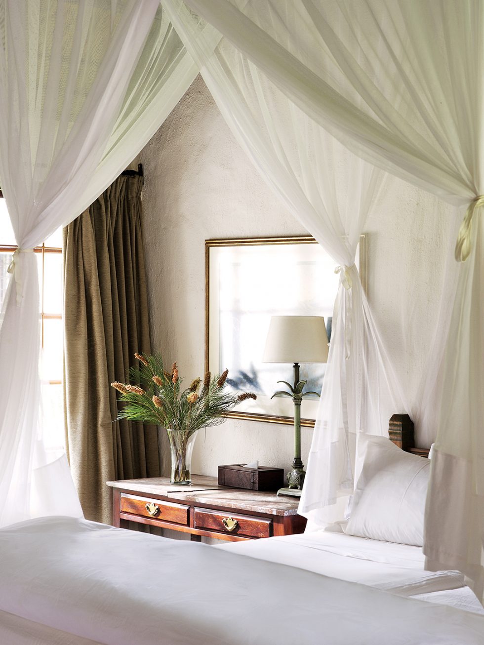 Elephant House | Nature Meets Nurture