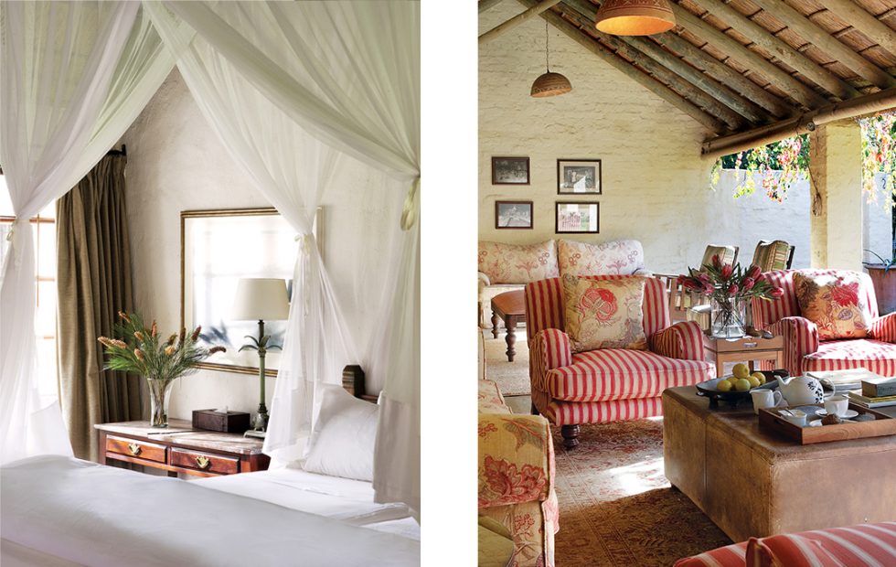 Elephant House | Nature Meets Nurture